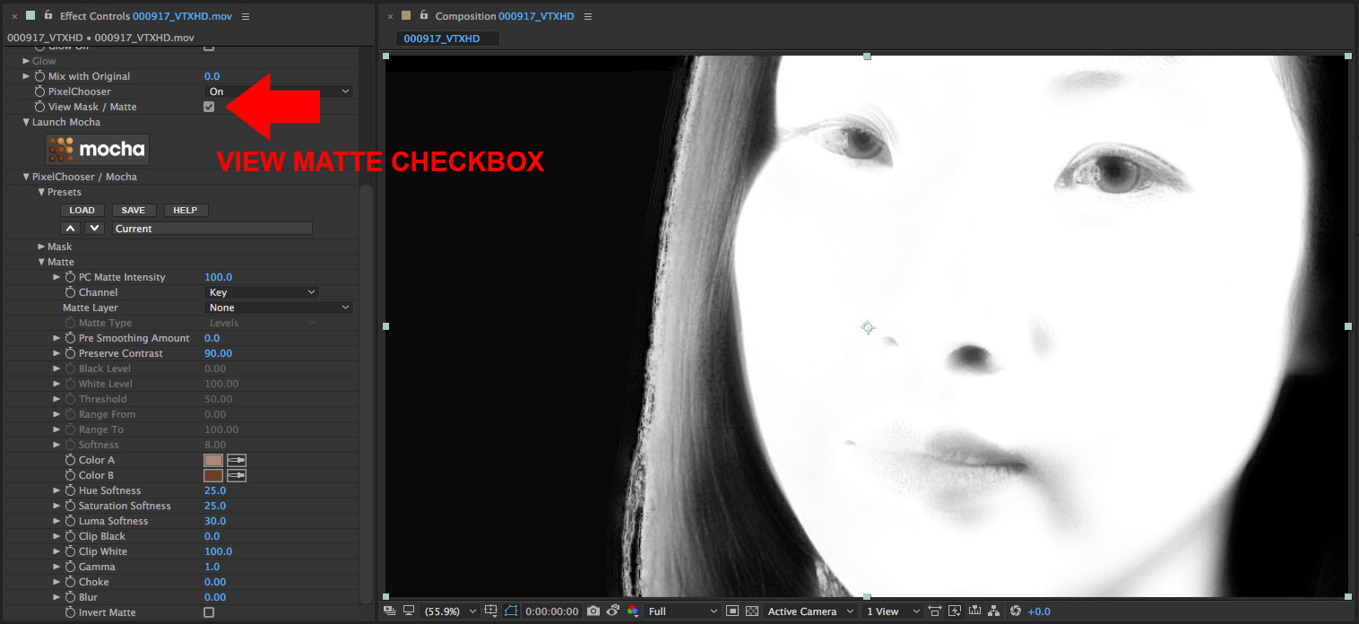 BCC Pixel Chooser | Boris FX