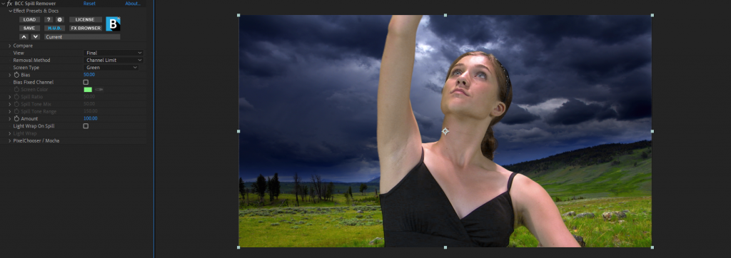 Bcc Spill Remover Boris Fx