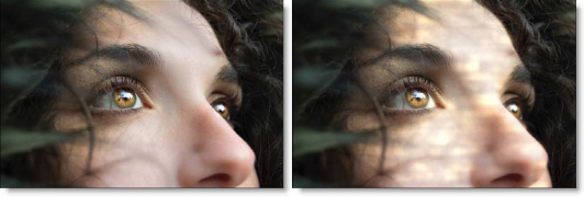 BCC+Diffusion | Boris FX