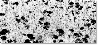 BCC+Selective Saturation | Boris FX